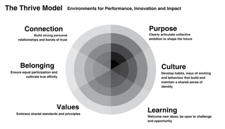 From trust to triumph: Role of social connection in group success